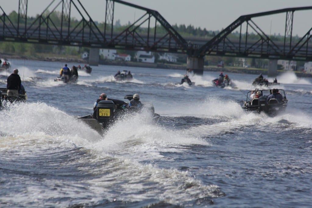 Seeking Bass Fishing Photos from the Mighty Miramichi - Giver on the River