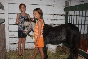 Napan Agricultural Show Under Way - Giver on the River