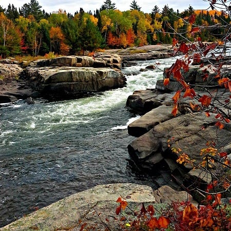 Hidden Gems of the Mighty Miramichi and Beyond! - Giver on the River