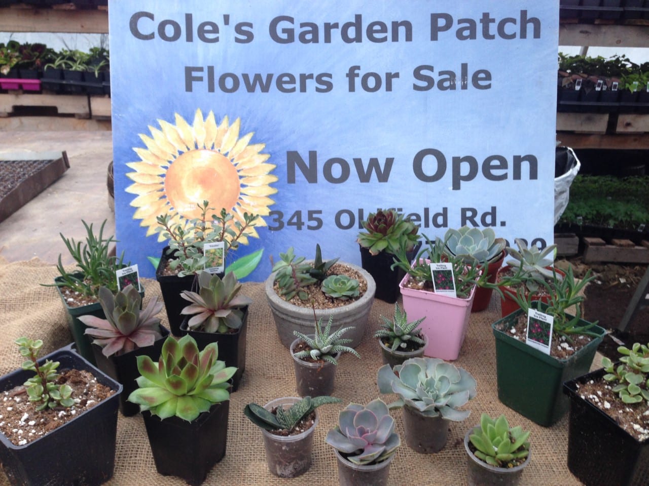 Cole's Garden Patch - Giver on the River