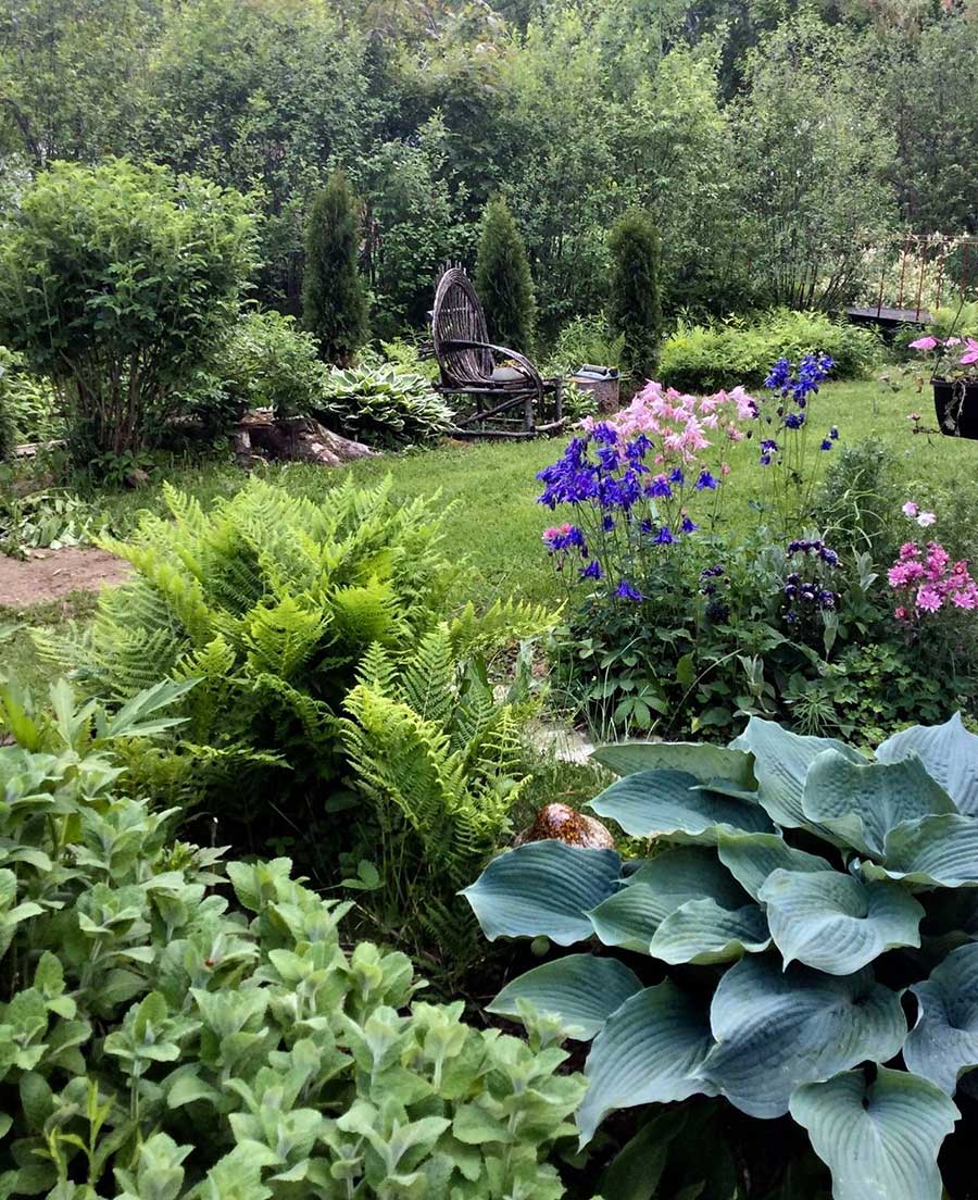 Canada’s Backyard Garden Contest - Local Finalist - Giver on the River