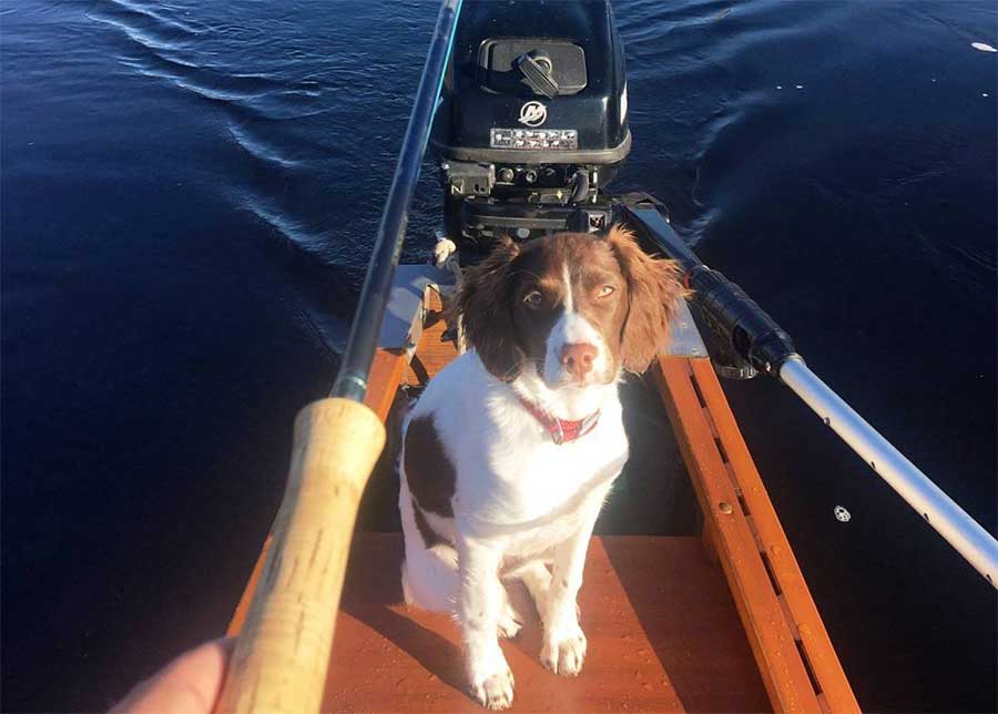 Surprise! Miramichi Salmon Fishing Begins Early - Giver on the River
