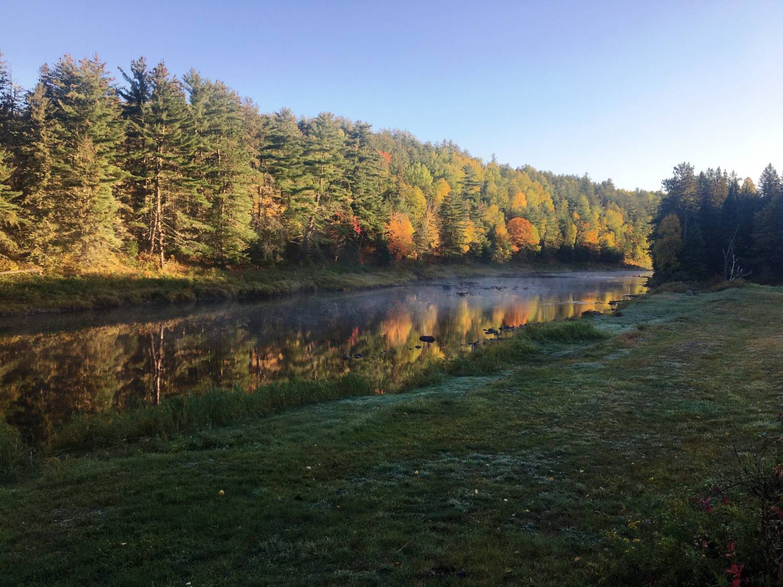 Miramichi Salmon Fishing October 7th - Giver on the River